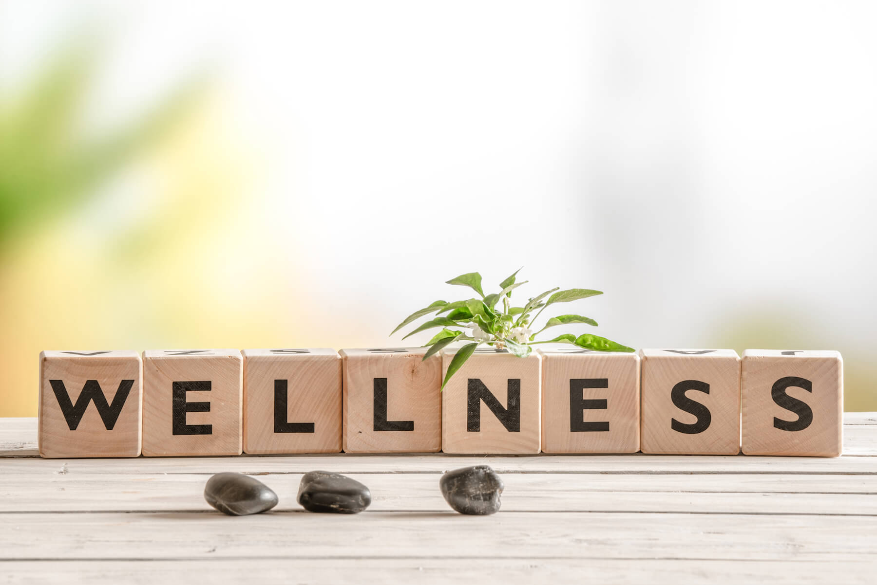 How to Maintain Wellness as an Educator - Graduate Programs for Educators