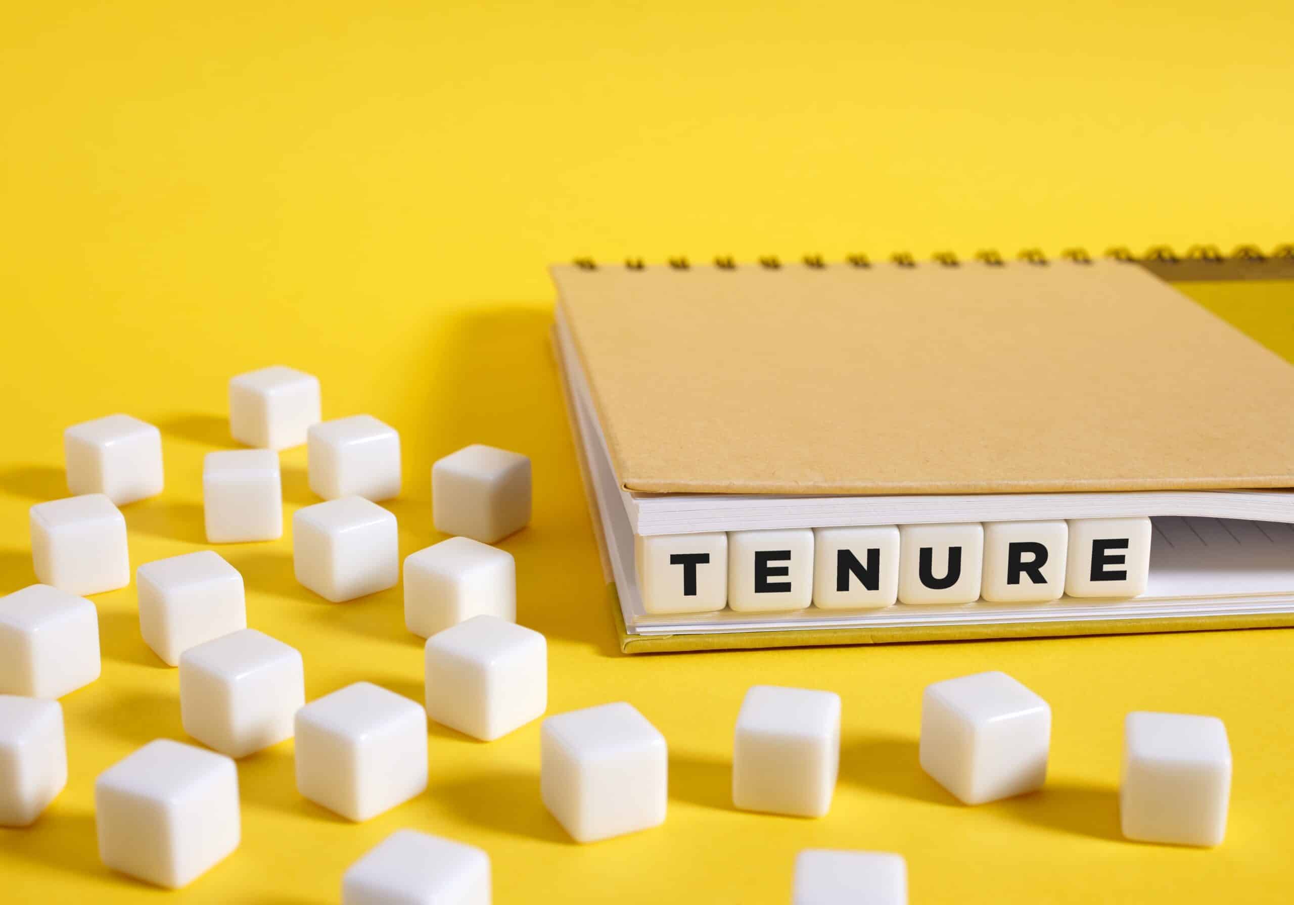 The Impact of Tenure on Student Achievement and Teacher Morale ...